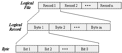 Chapter 2 - Data Organization